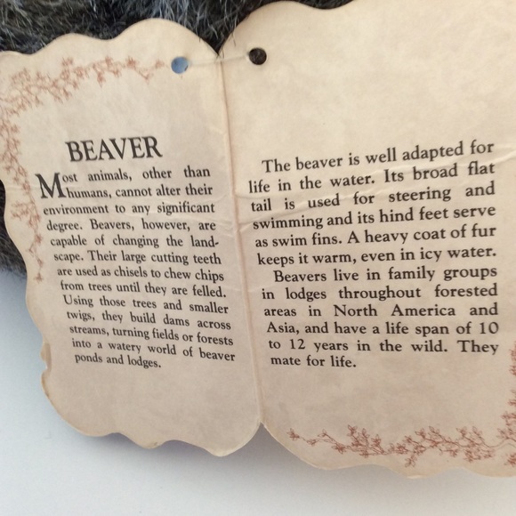 Folkmanis | Toys | Folkmanis Beaver Puppet With Tag | Poshmark